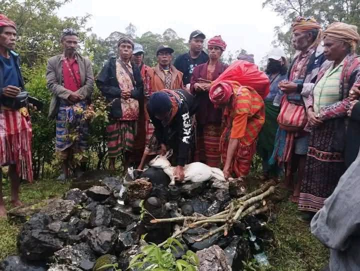 Gunung Mutis: Perlawanan Adat Melawan Status Taman Nasional - Salam ...